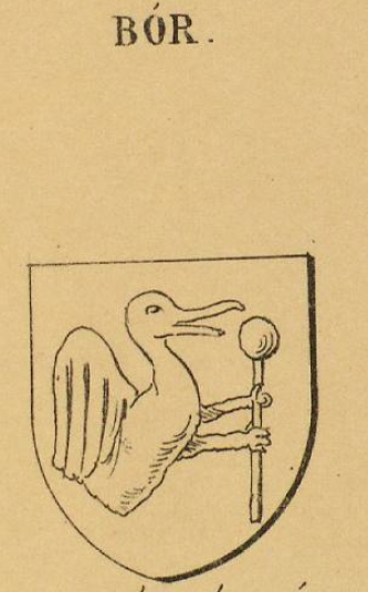 Bor Family Crest, Coat of Arms and Name History