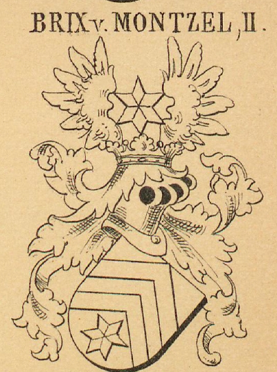 Brix Family Crest, Coat of Arms and Name History